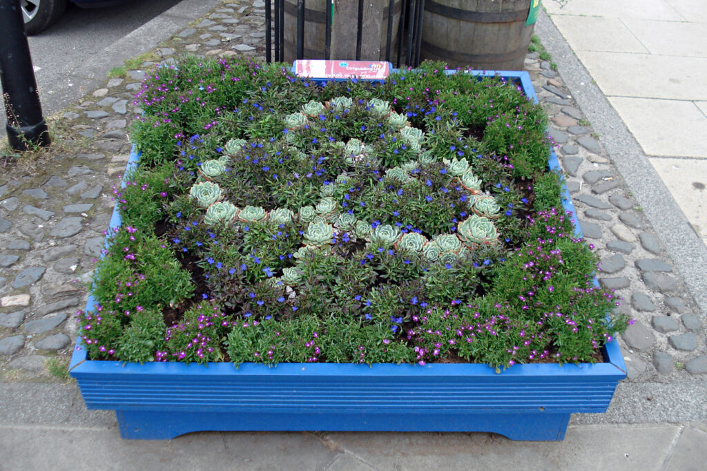 Girlguiding centenary display - SPIOTA